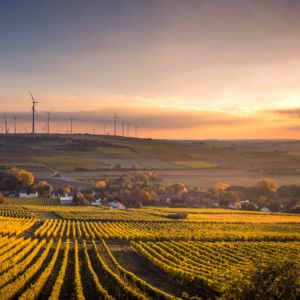 European Climate Foundation